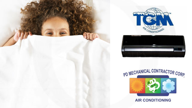 PD Mechanical Contractor - Mini Split Inverter TGM, Classic, Air Max o ...