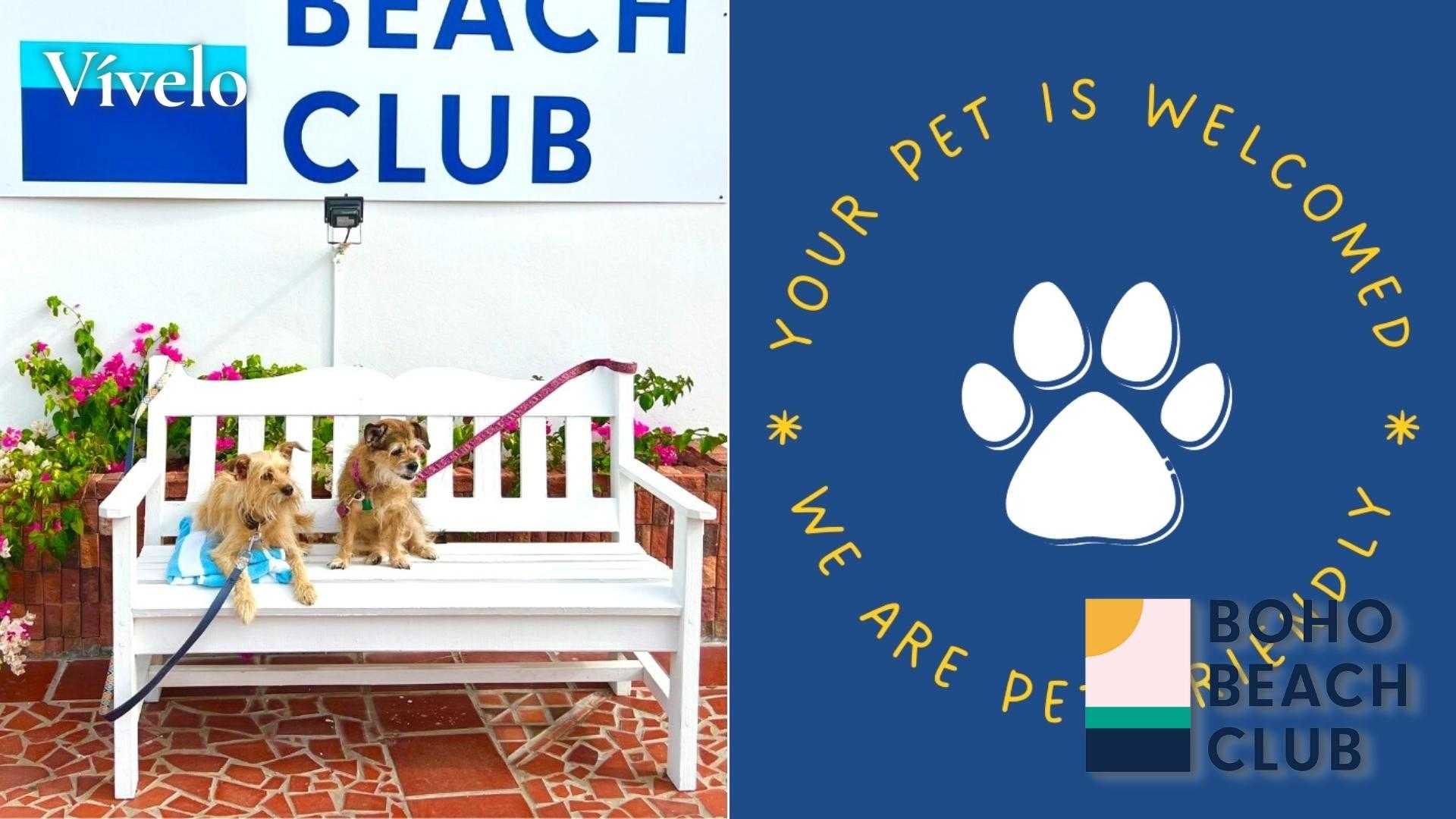 Boho Beach Club - Separa desde $19: Escápate a Boquerón por 3 días y 2 ...